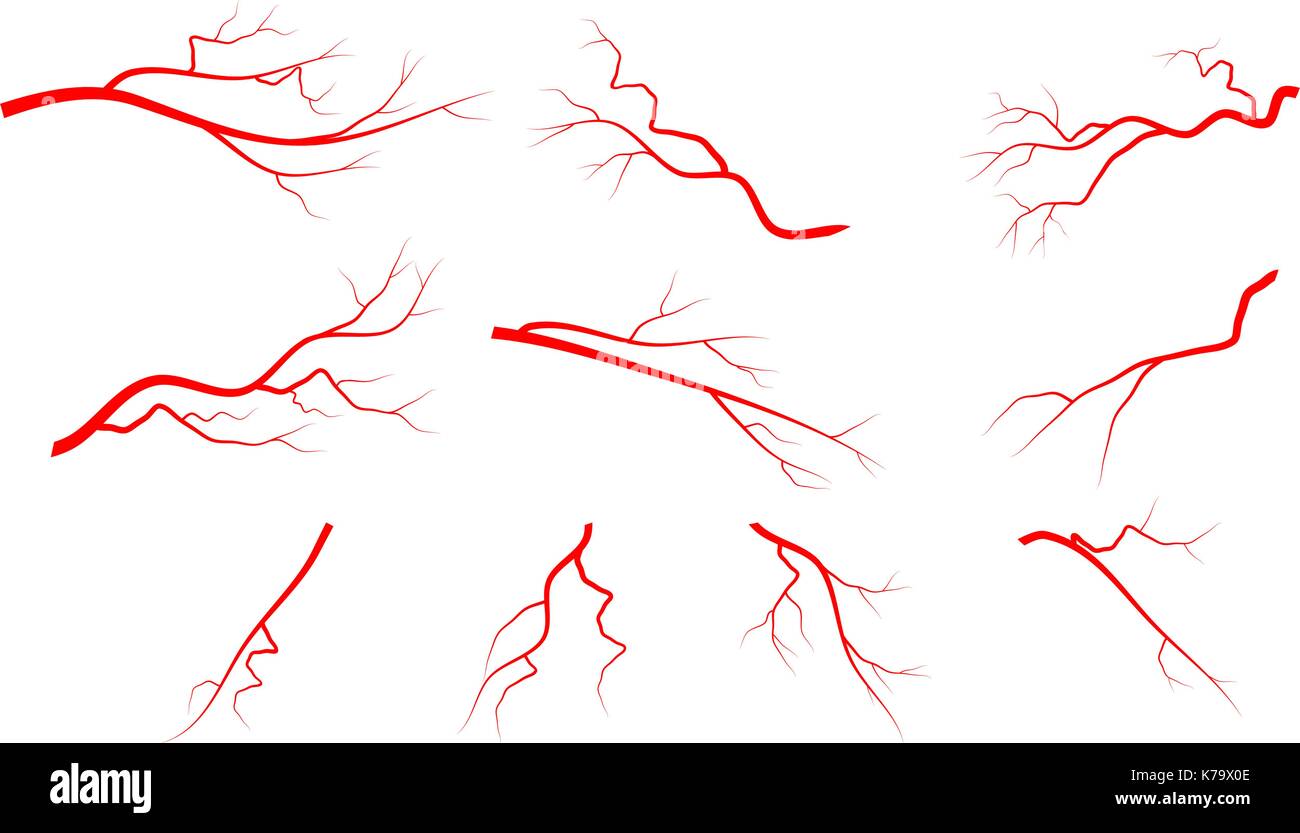 red vein set vector symbol icon design. Beautiful illustration isolated ...