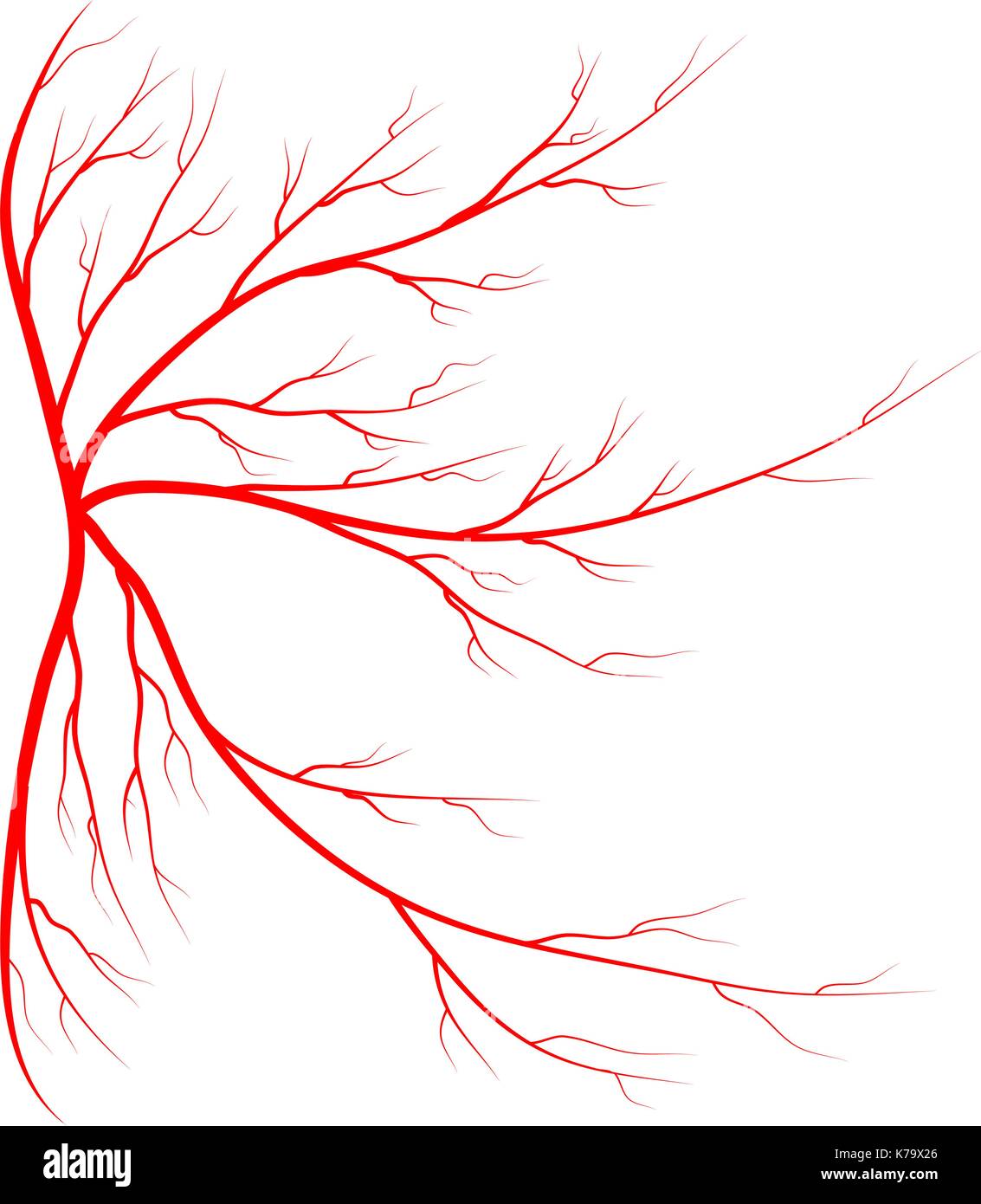 spider vein vector symbol icon design. Beautiful illustration isolated ...