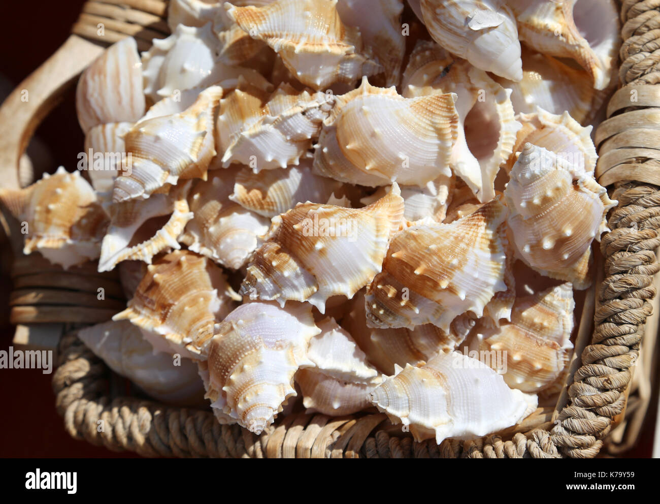 Baskets of sea shells hi-res stock photography and images - Alamy
