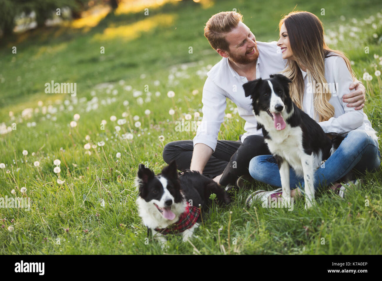 Romantic couple in love walking dogs in nature and smiling Stock Photo ...