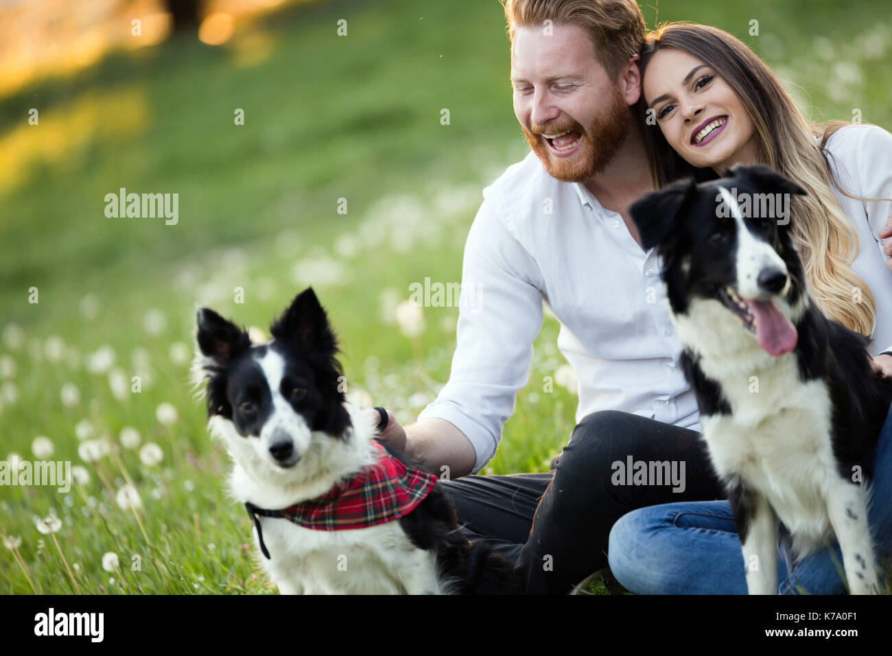 Romantic couple in love walking dogs in nature and smiling Stock Photo ...