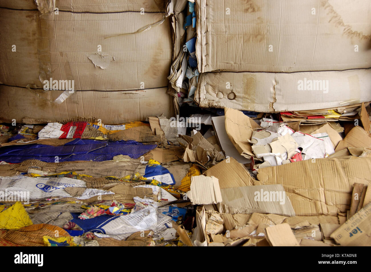 paper ready for recycling Stock Photo - Alamy
