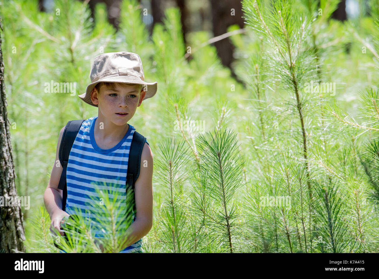 Boy pines hi-res stock photography and images - Alamy
