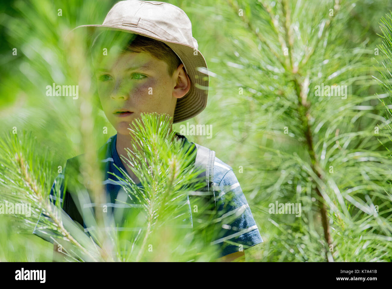 Boy exploring in woods Stock Photo - Alamy