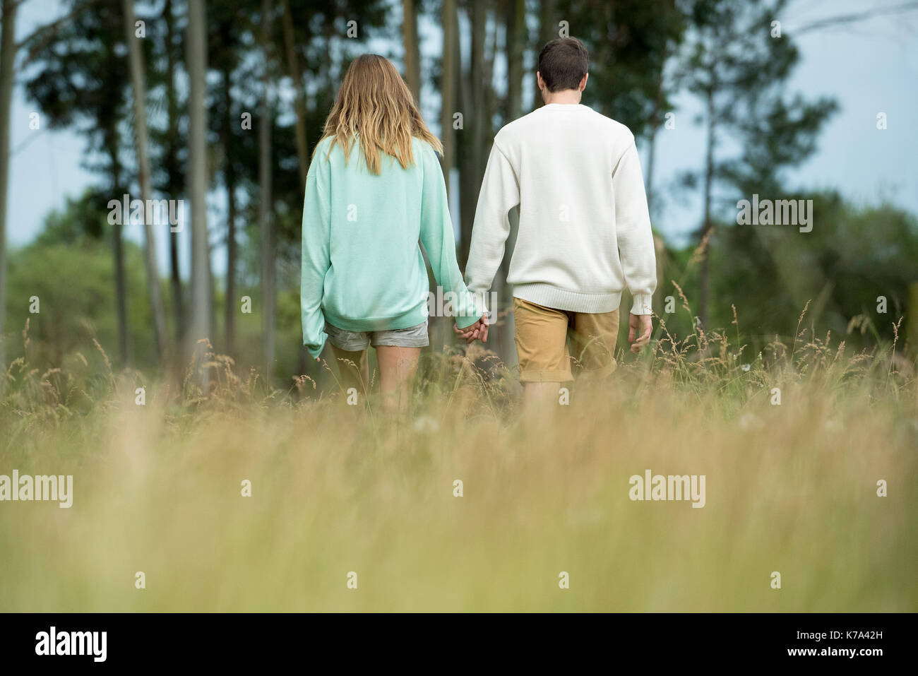 Couple walking together through tall grass, rear view Stock Photo - Alamy