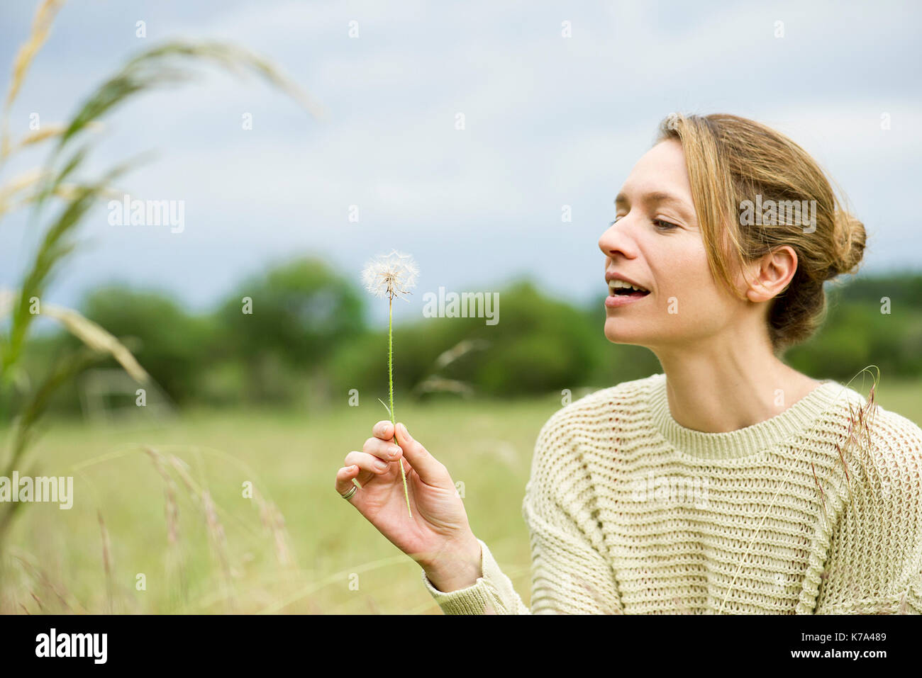 Dandelion flower blowing hi-res stock photography and images - Alamy