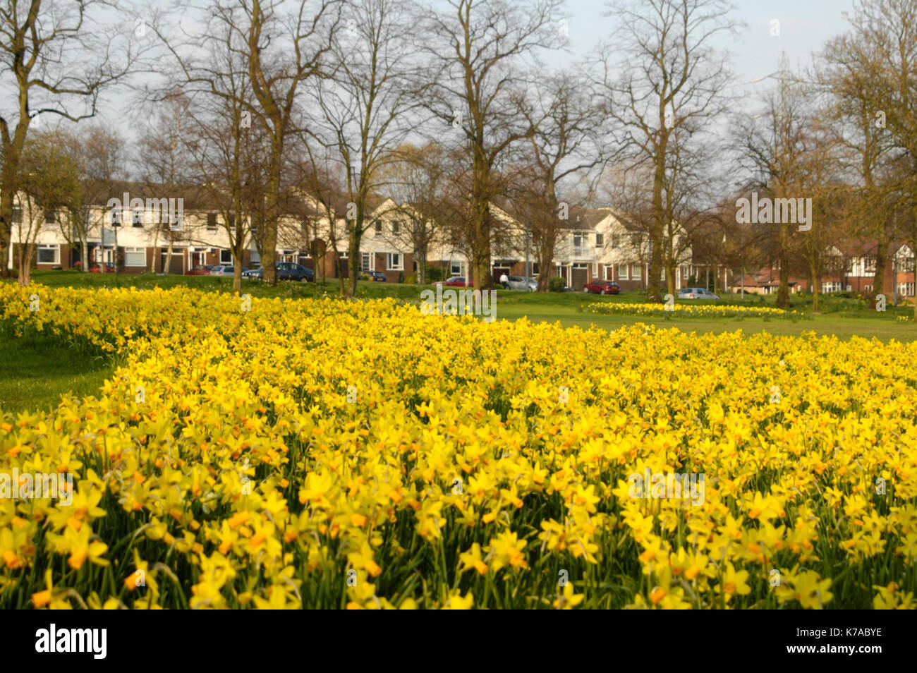 Worsley Green, Worsley, Salford, Manchester Stock Photo - Alamy