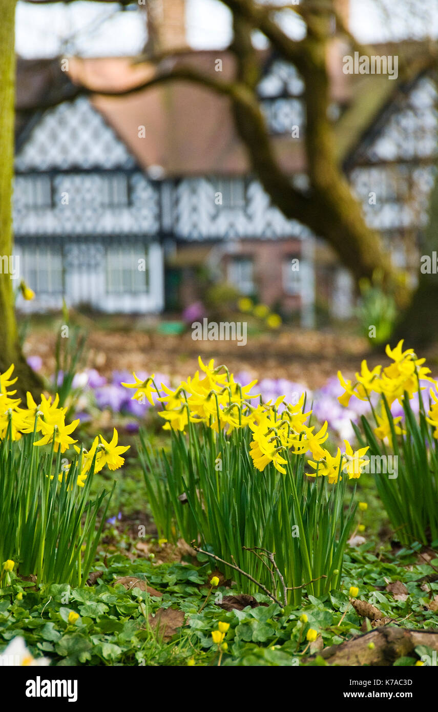 Worsley Green, Worsley, Salford, Manchester Stock Photo - Alamy