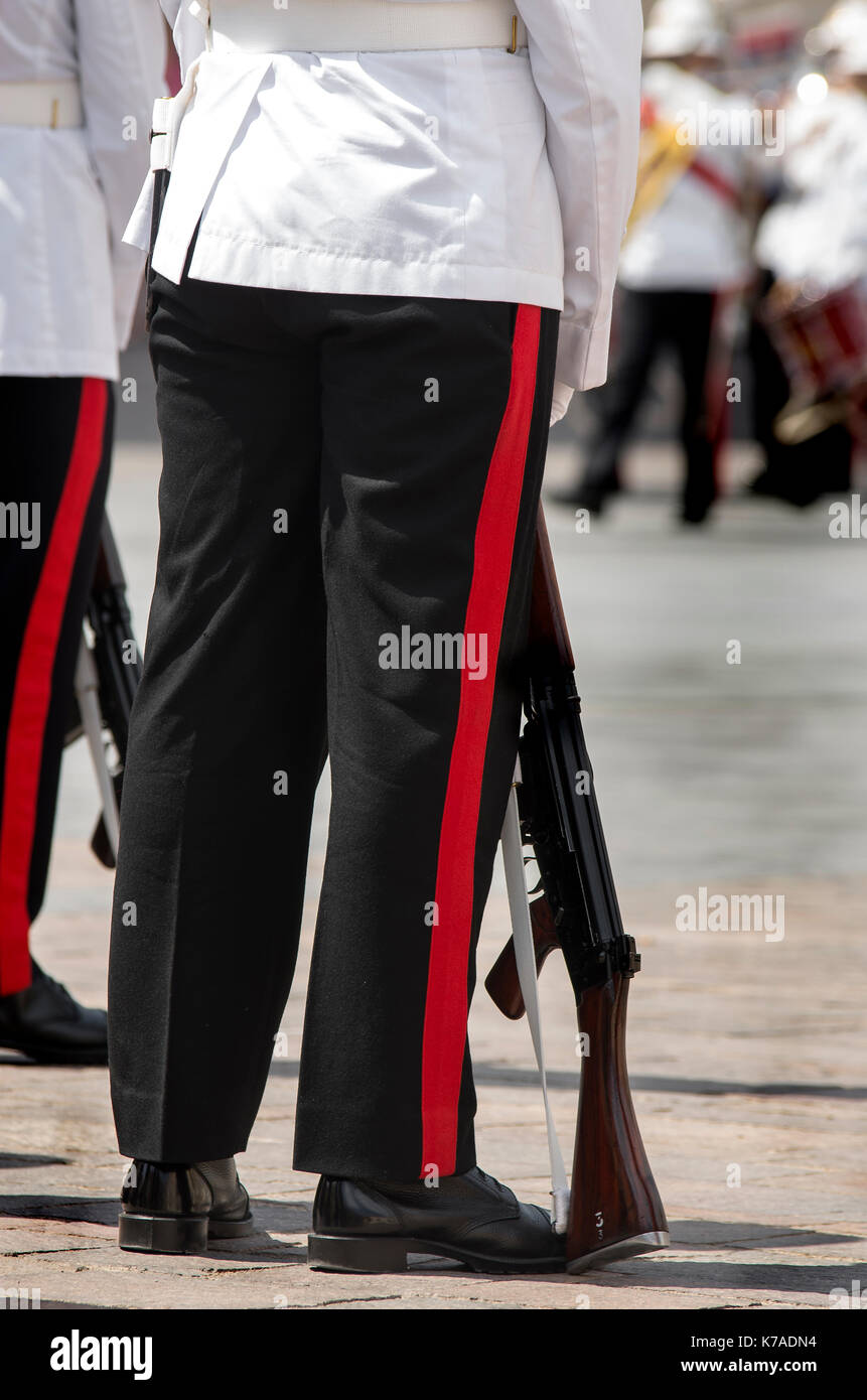 Armed Forces of Malta guard of honour during ceremony in front of the ...