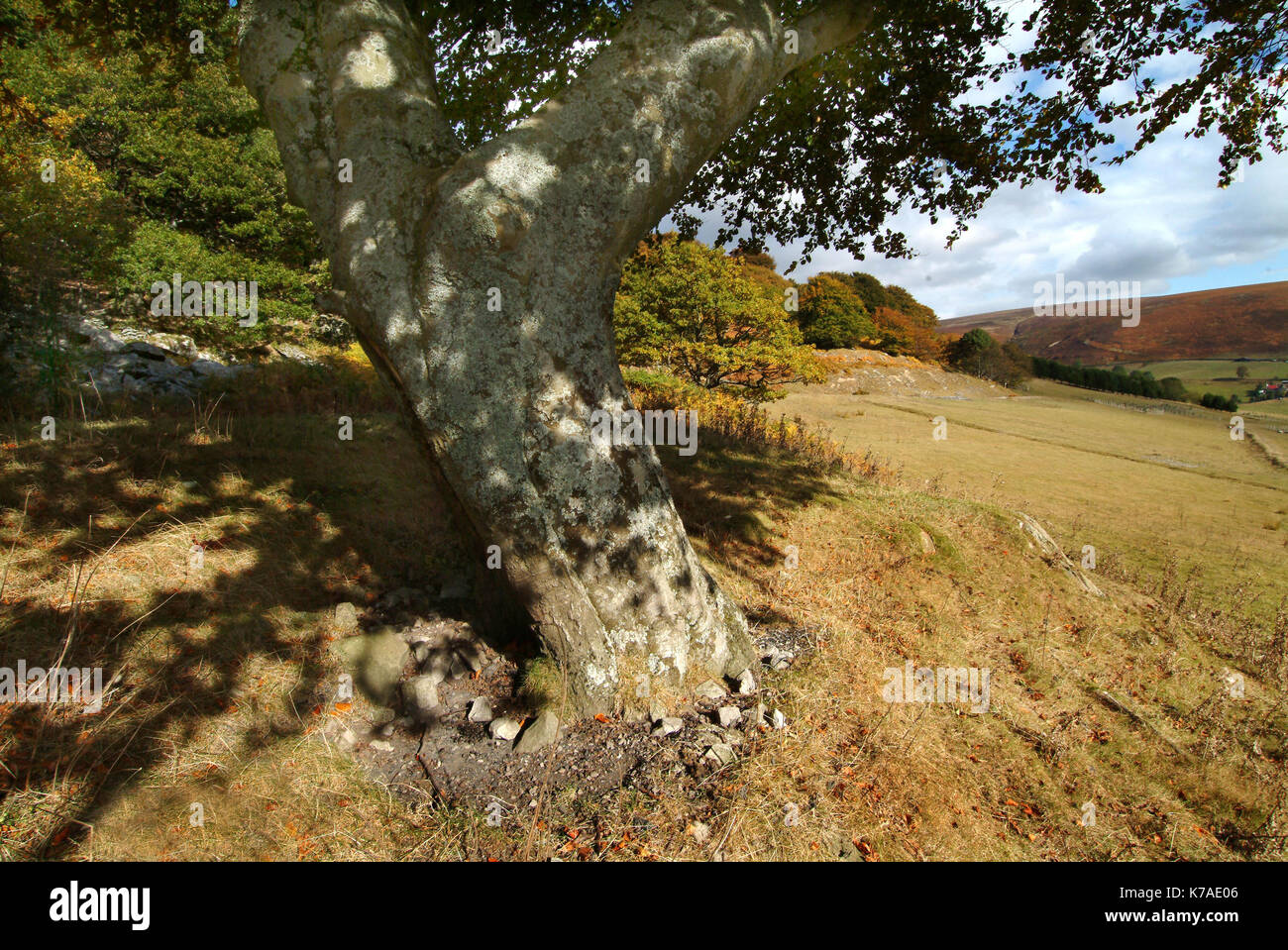 Cwmtillery Reservoir formally the Cwmtillery Colliery site near ...