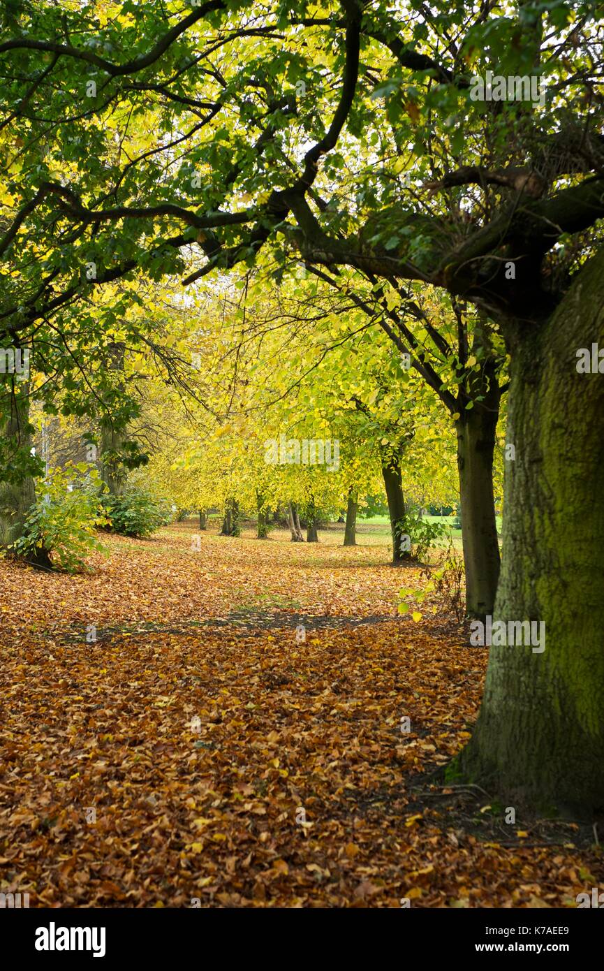 Worsley Green, Worsley, Salford, Manchester Stock Photo - Alamy