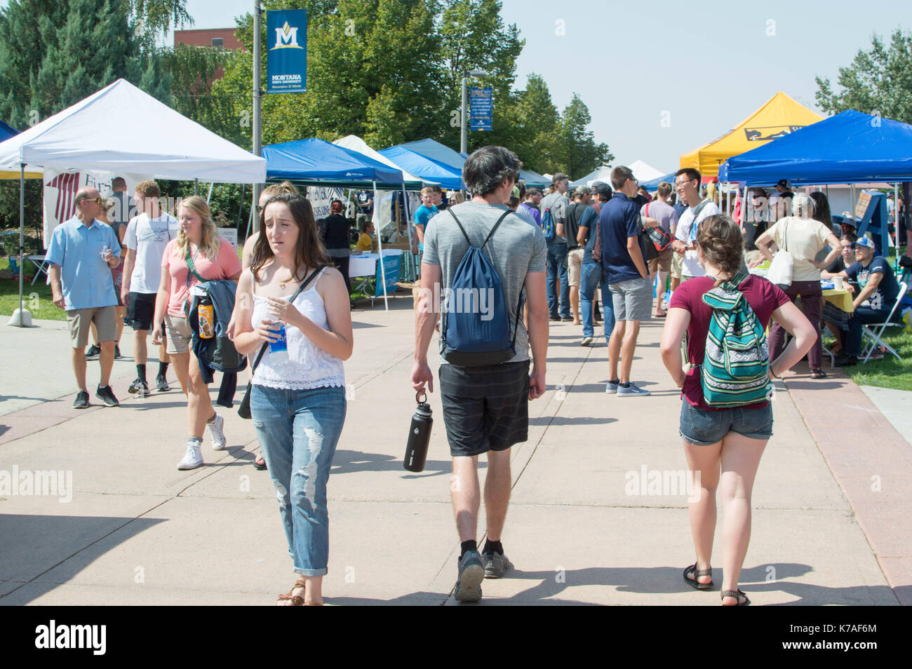 Campus of Montana State University at Bozeman Stock Photo - Alamy