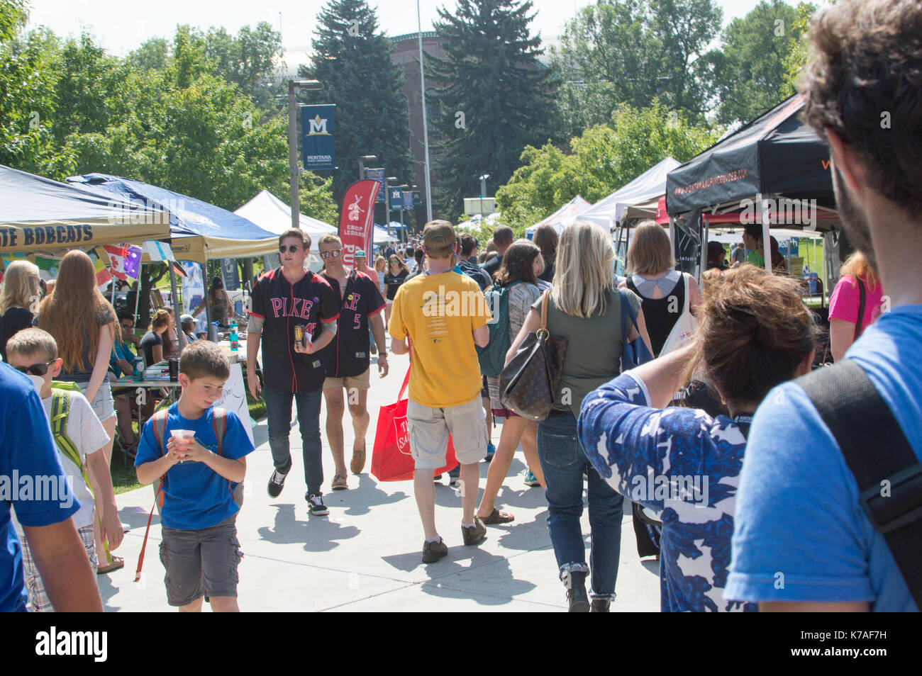 Bobcats Montana State University Stock Photos & Bobcats Montana State ...