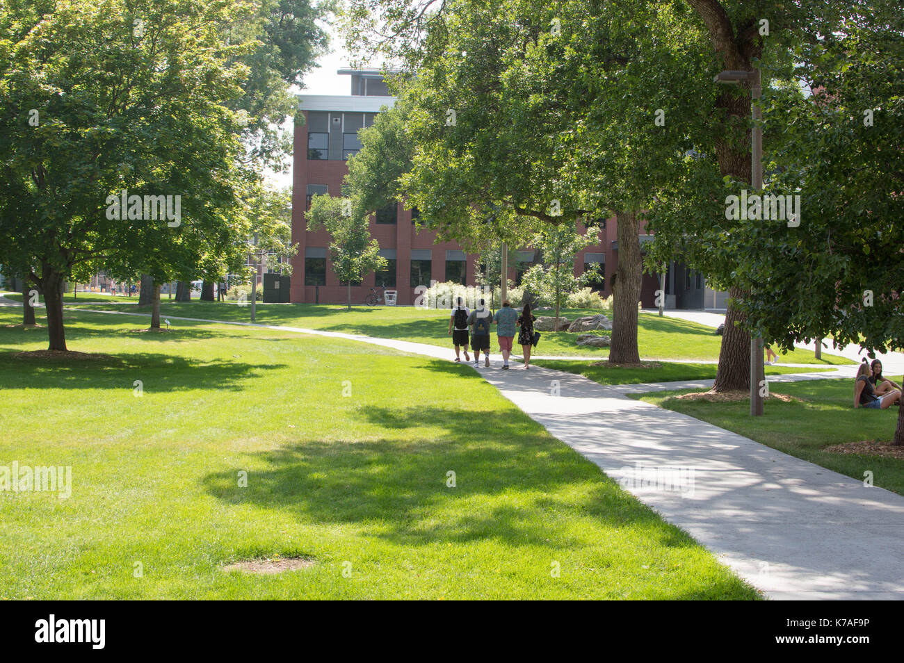 Bobcats Montana State University Stock Photos & Bobcats Montana State ...