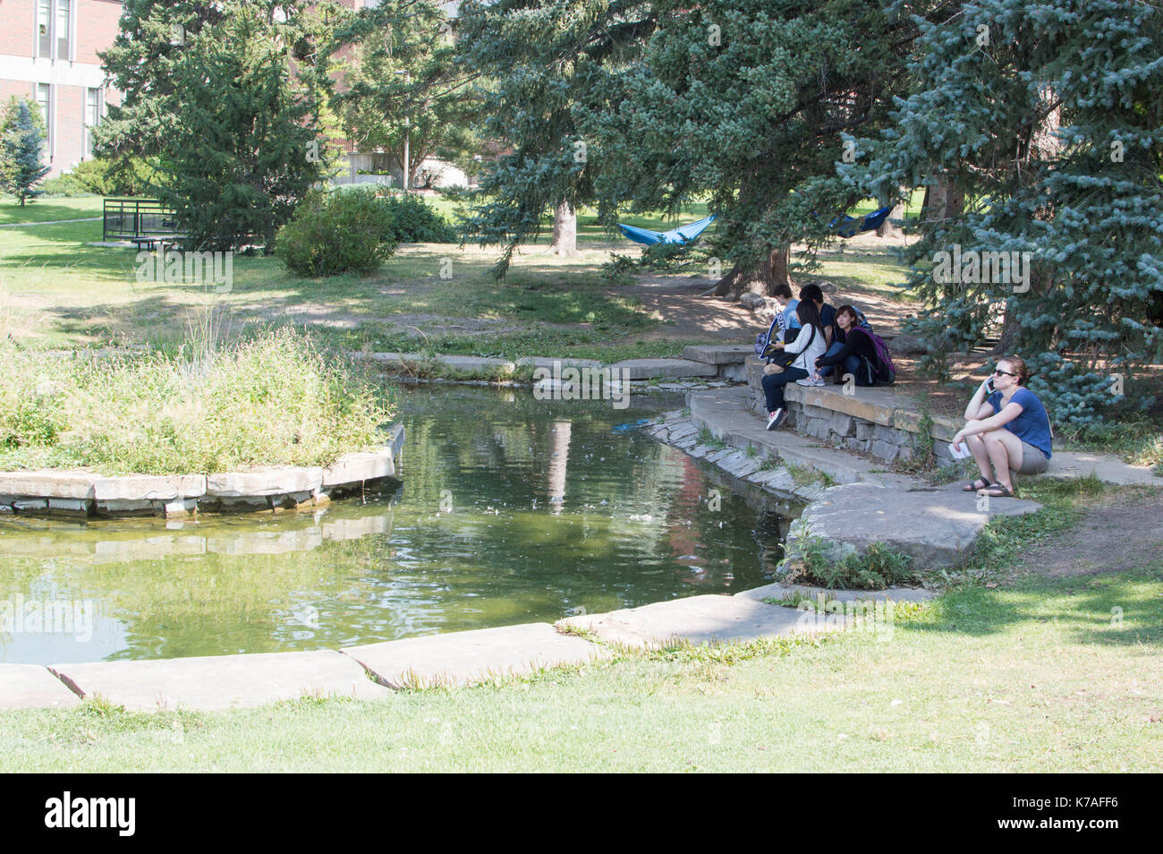 Bobcats montana state university hi-res stock photography and images ...