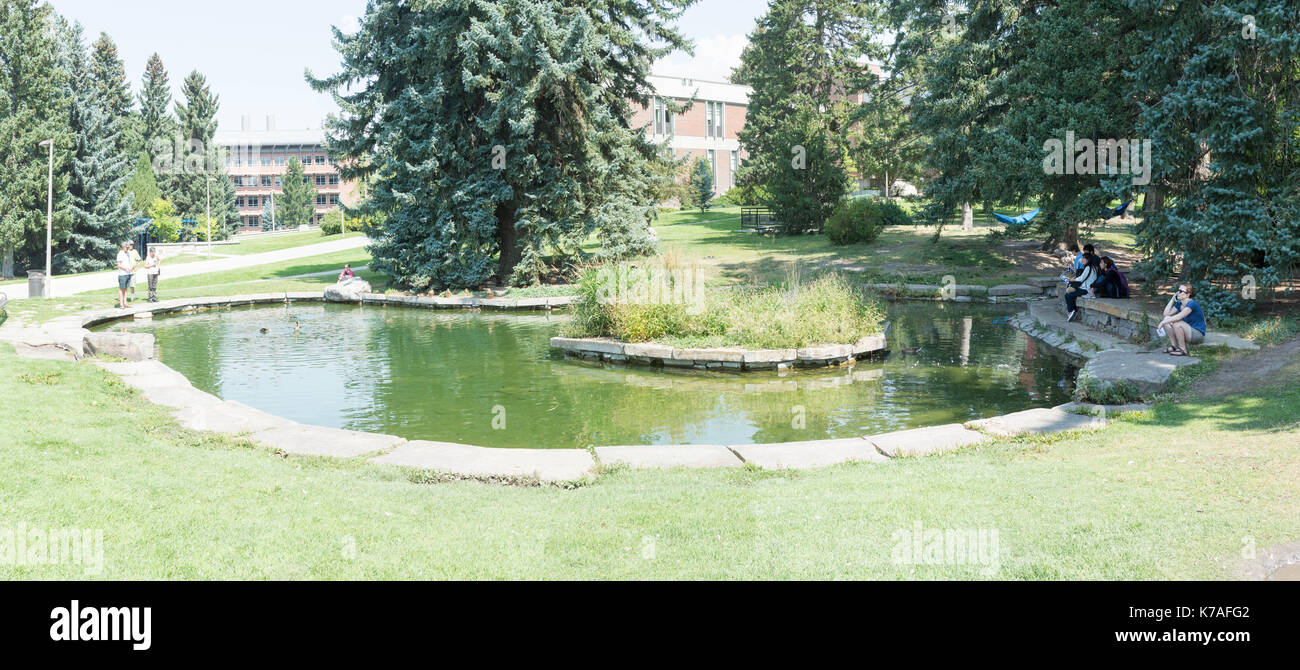 Campus of Montana State University at Bozeman Stock Photo - Alamy