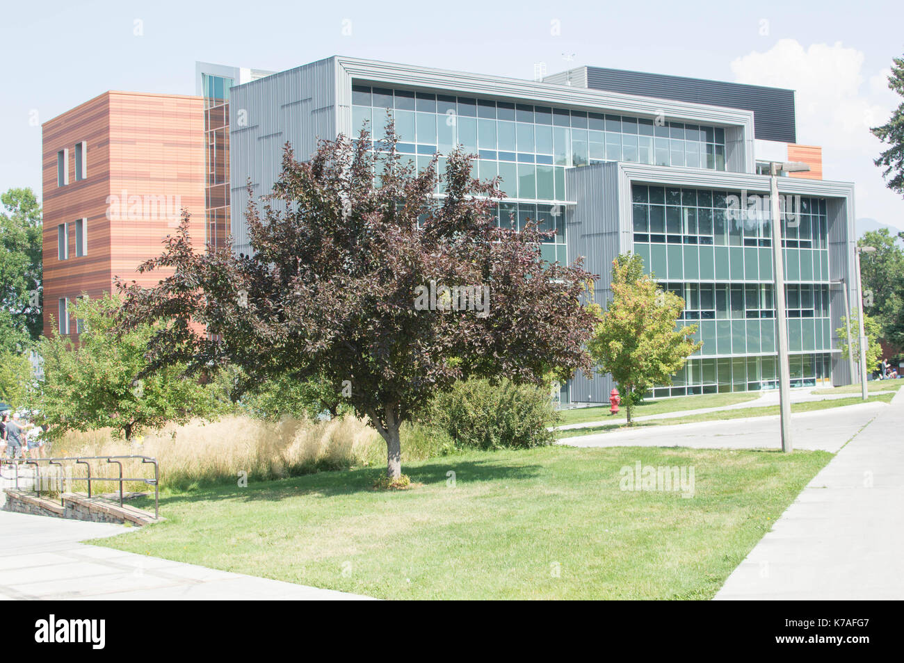 Campus of Montana State University at Bozeman Stock Photo - Alamy
