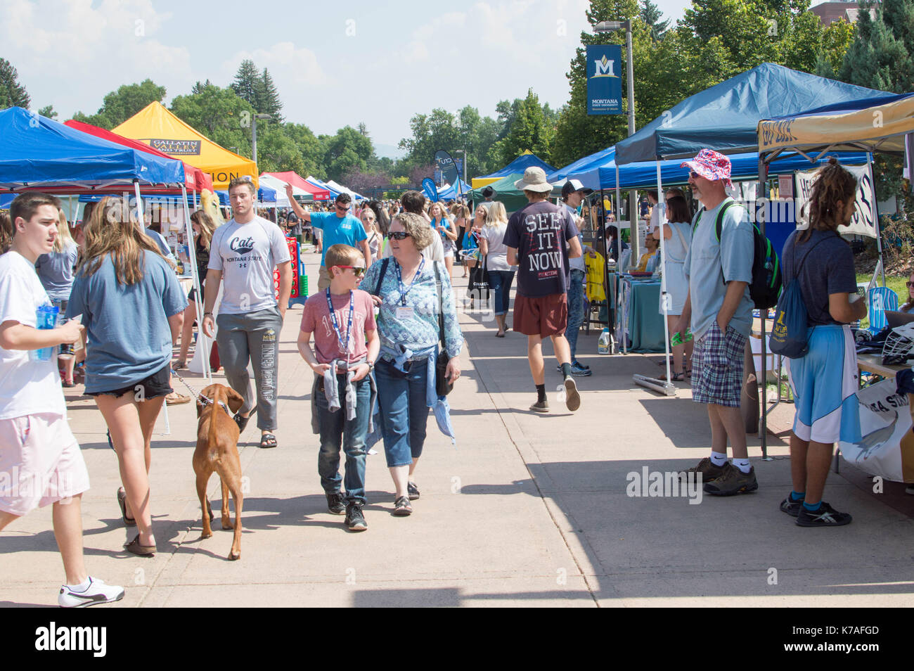 Campus of Montana State University at Bozeman Stock Photo - Alamy