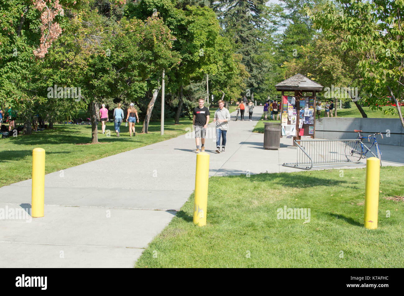 Bobcats Montana State University Stock Photos & Bobcats Montana State ...