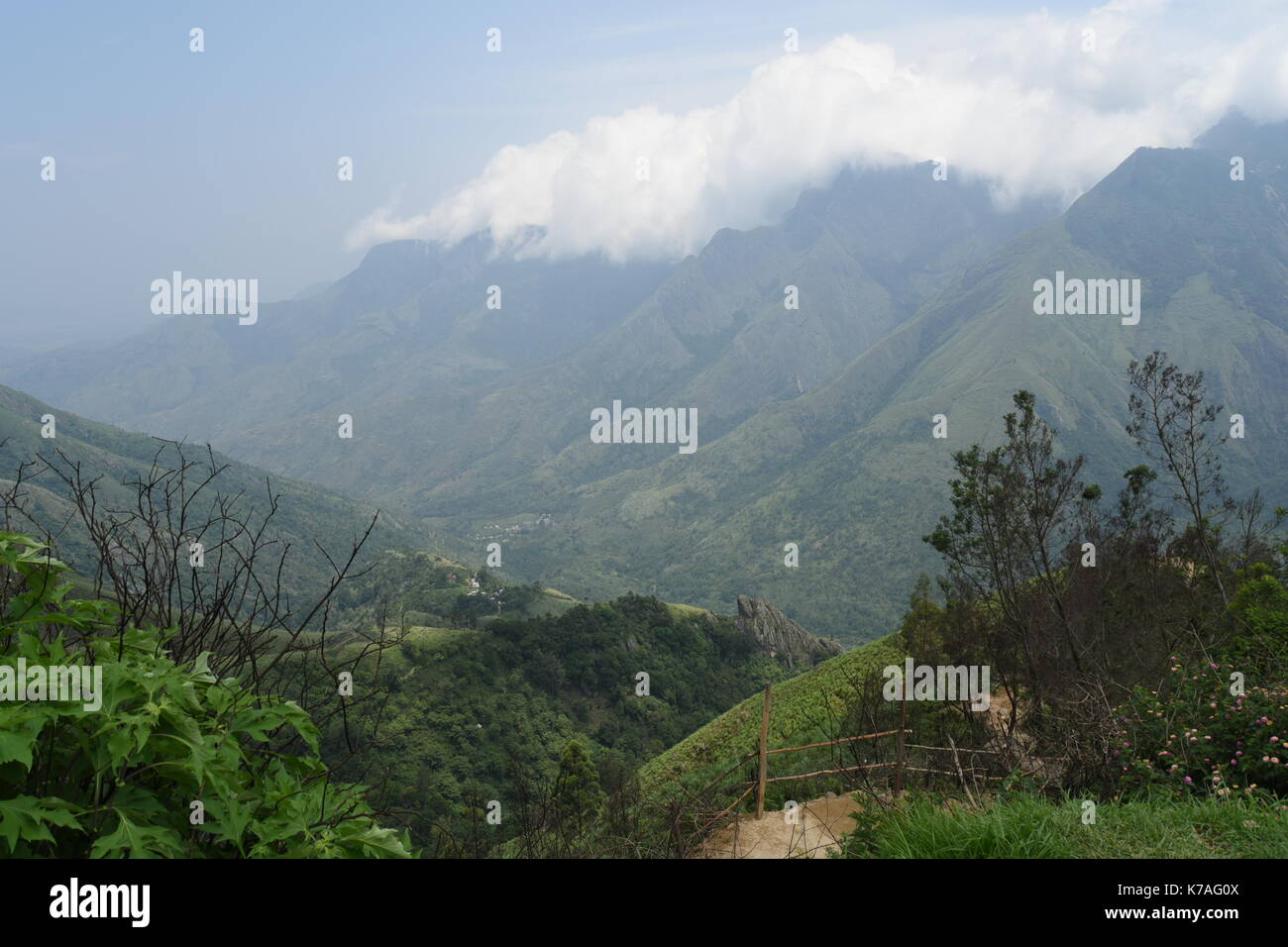Munnar, Kerala, India Stock Photo - Alamy