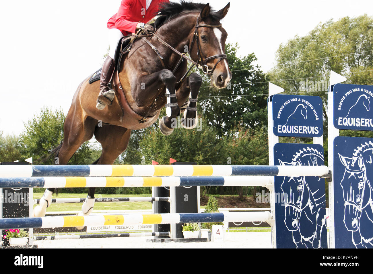 Team jumping competition hi-res stock photography and images - Alamy