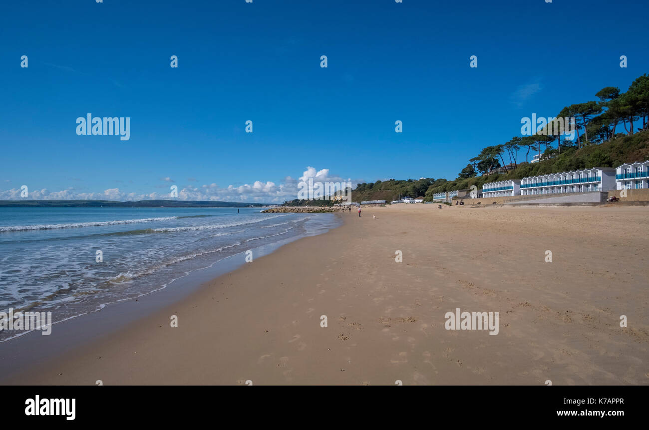 Canford hi-res stock photography and images - Alamy