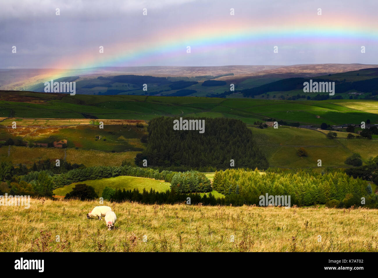 North yorkshire should be allowed hi-res stock photography and images ...