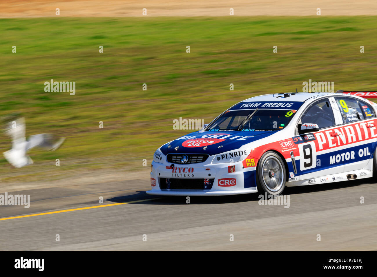 David reynolds racing driver hi-res stock photography and images - Alamy