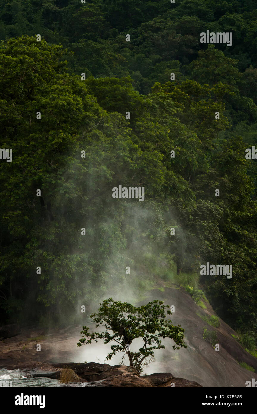 Rising mist hi-res stock photography and images - Alamy