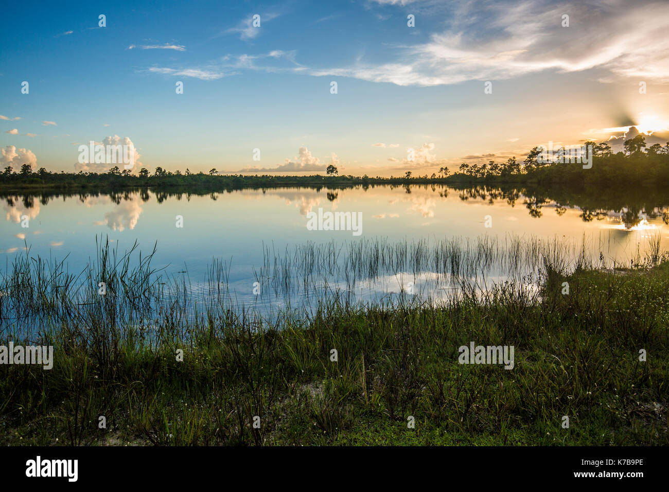 Everglades Sunset National Park lake reflections Stock Photo - Alamy