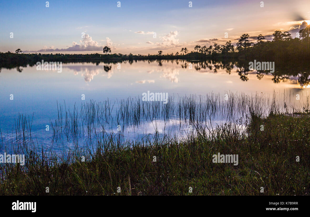 Everglades Sunset National Park lake reflections Stock Photo - Alamy