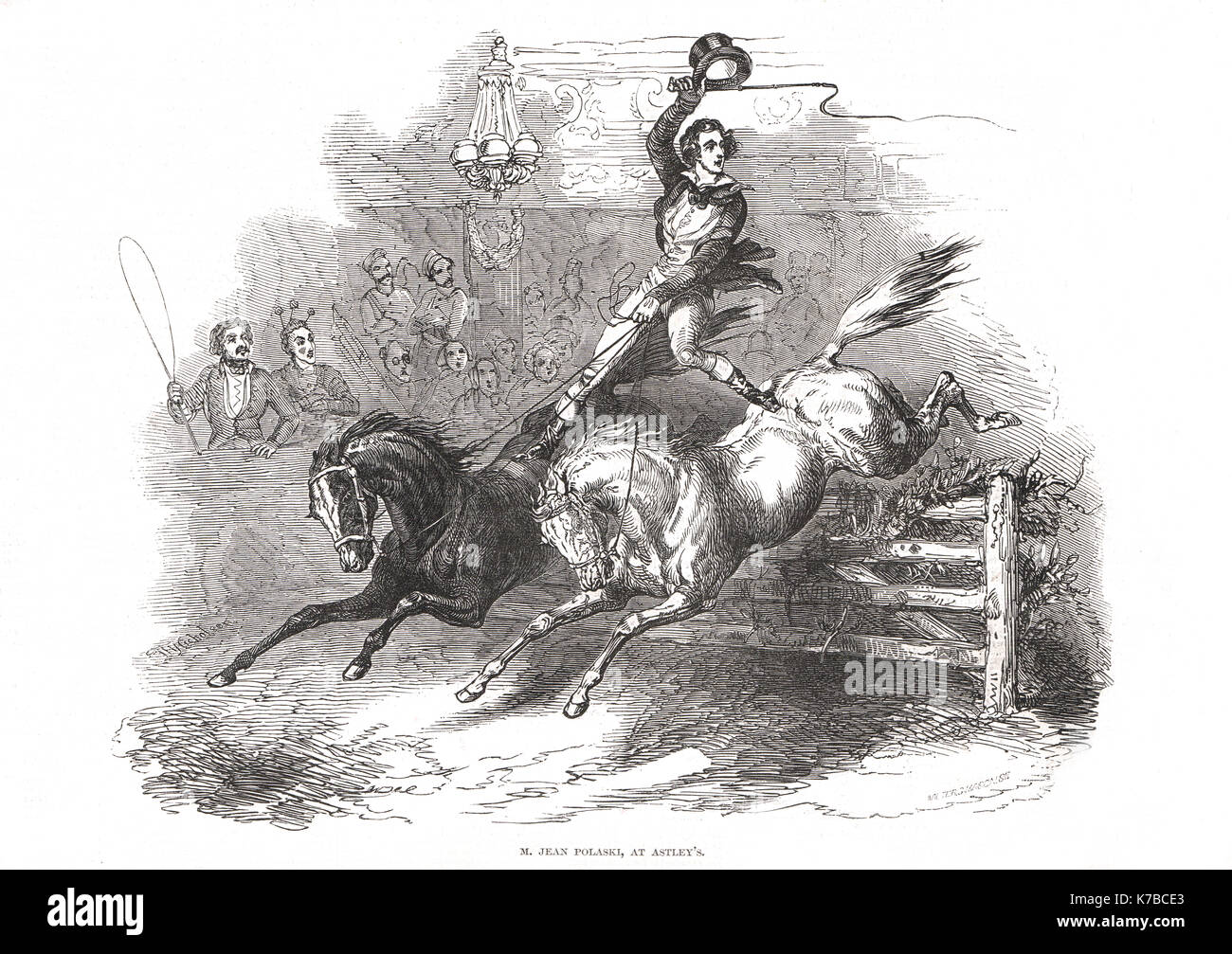 Circus horses hi-res stock photography and images - Alamy