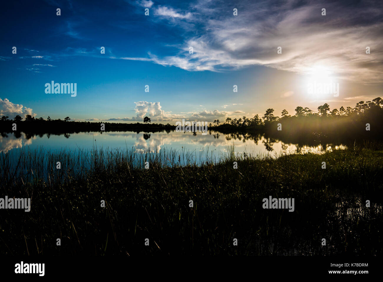 Everglades sawgrass sunset hi-res stock photography and images - Alamy
