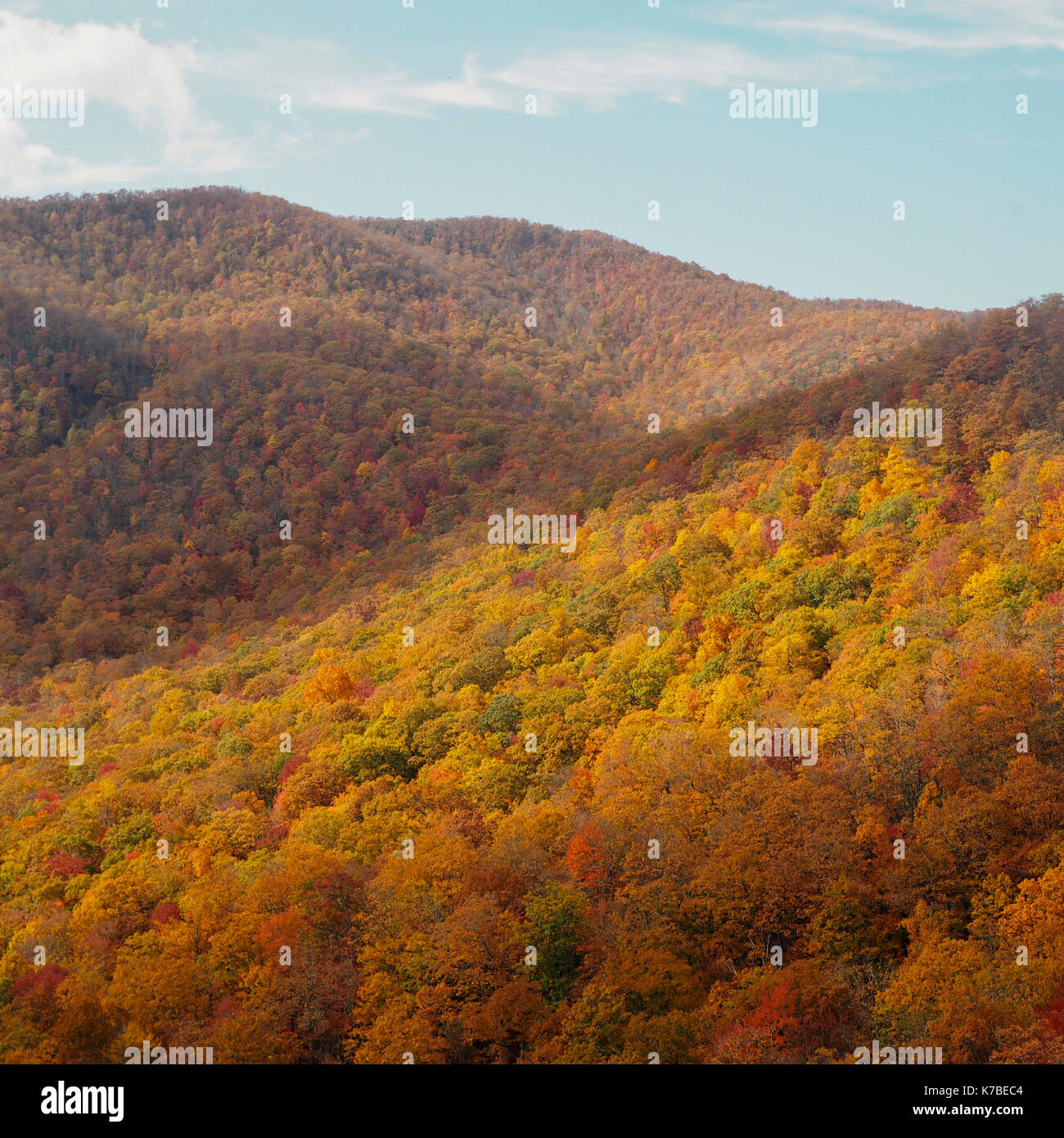 Pisgah national forest hi-res stock photography and images - Alamy