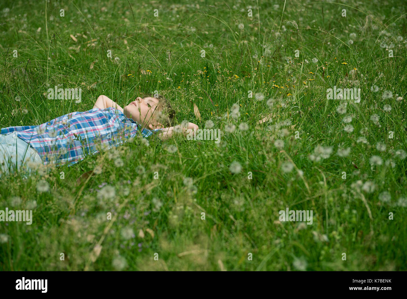 Napping grass hi-res stock photography and images - Alamy