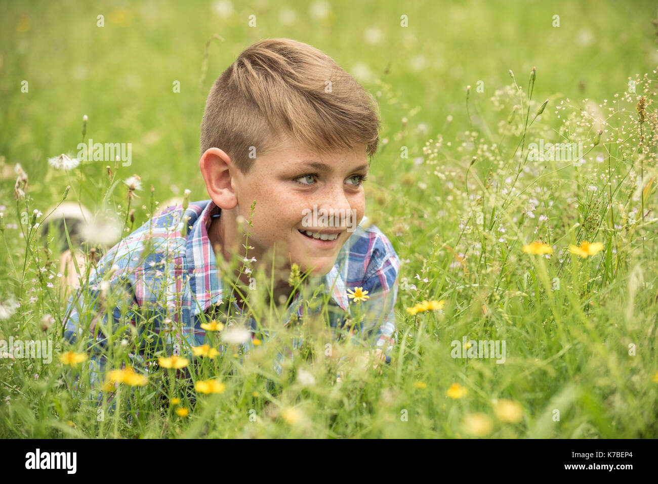 Boy lying in meadow, smiling cheerfully Stock Photo - Alamy