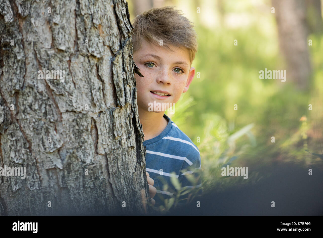 Boy peeking around tree trunk, portrait Stock Photo - Alamy