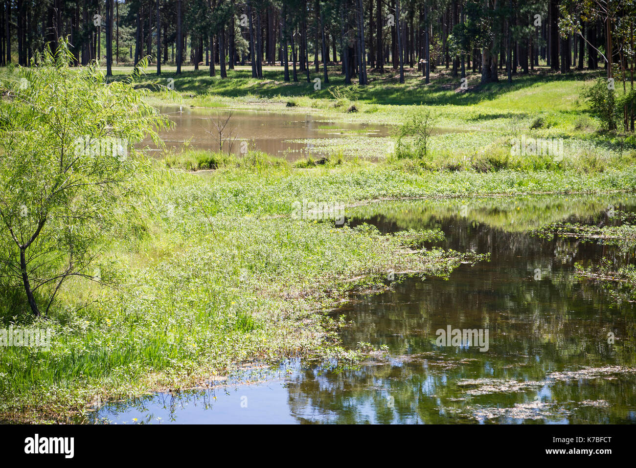 Urban environments wetlands hi-res stock photography and images - Alamy