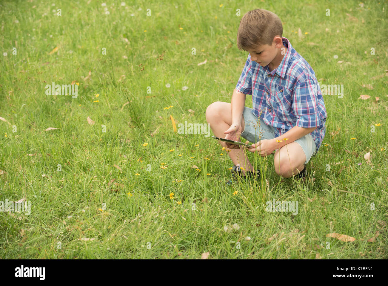 Using photography hi-res stock photography and images - Alamy