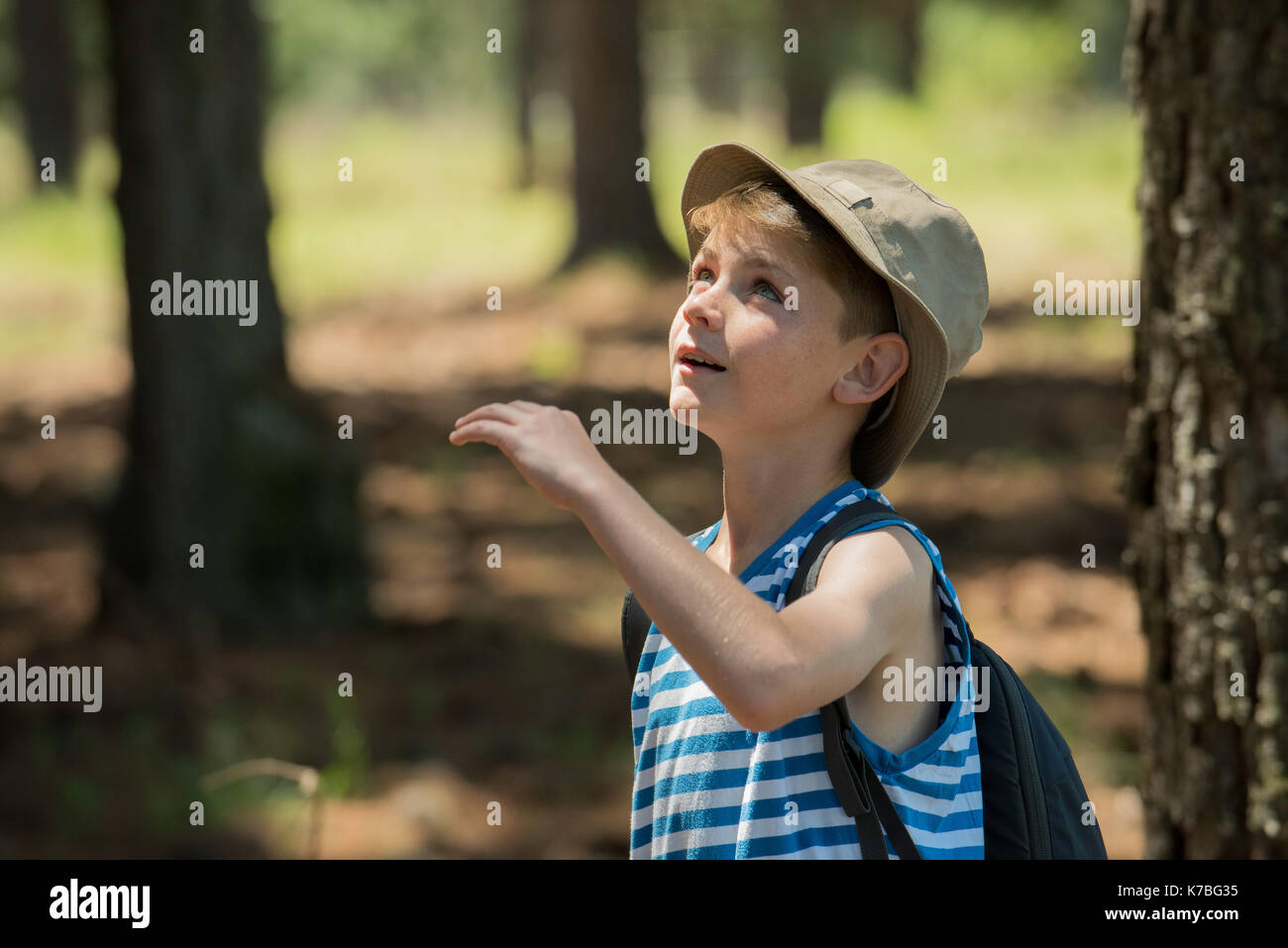 Boy looking up in awe outdoors Stock Photo - Alamy
