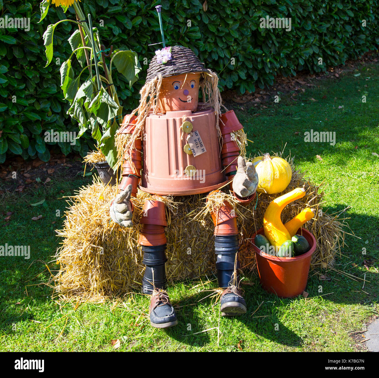Flower pot man Stock Photo - Alamy