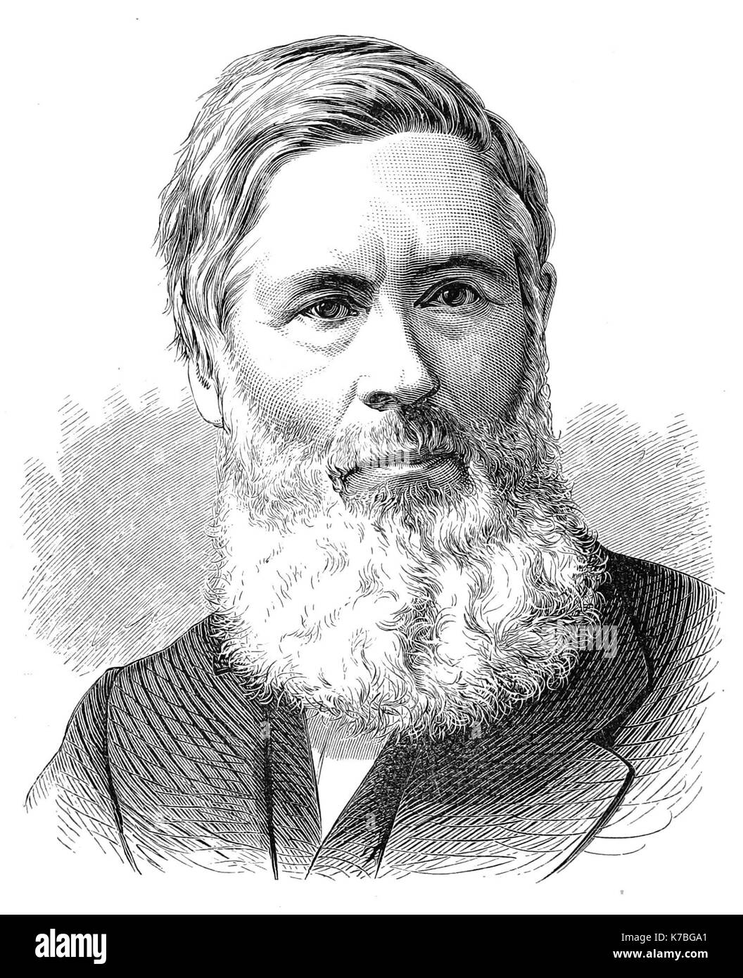 Asa gray hi-res stock photography and images - Alamy