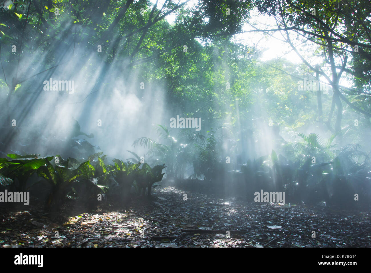 Jesus light hi-res stock photography and images - Alamy