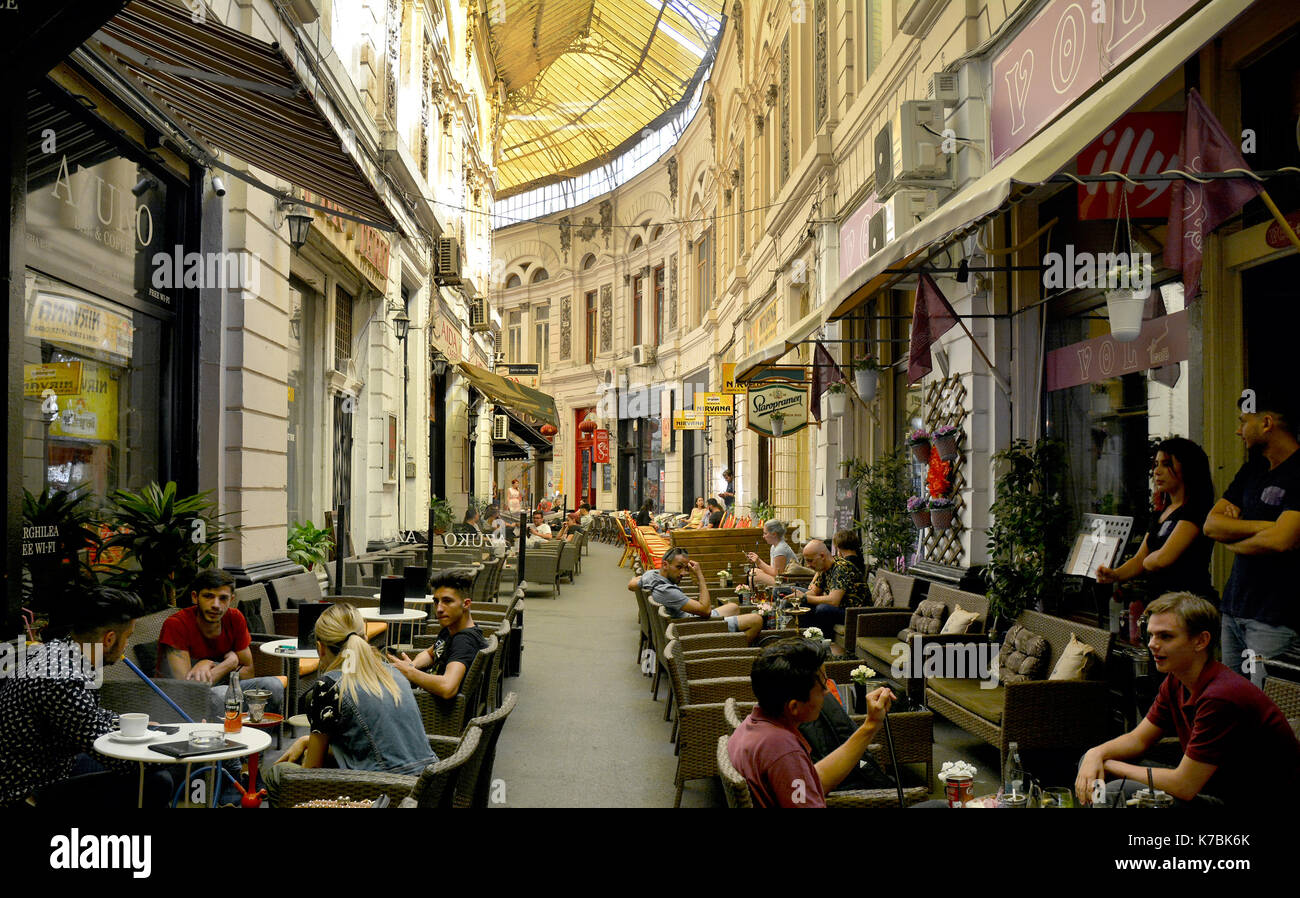 Macca villacrosse bucharest hi-res stock photography and images - Alamy