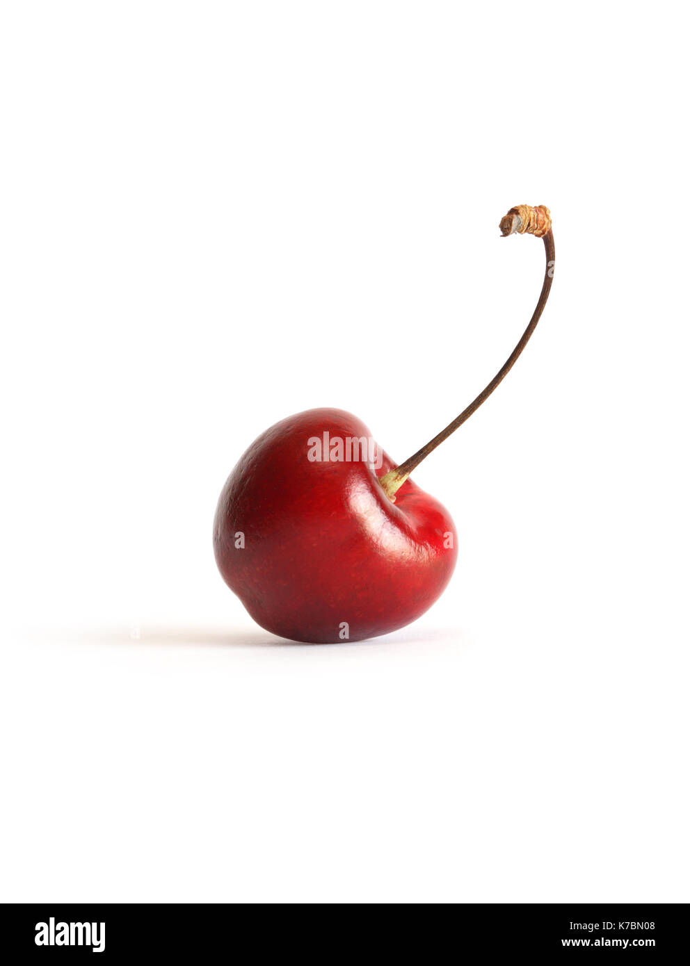 One cherry with stem on white background. Clipping path is included ...