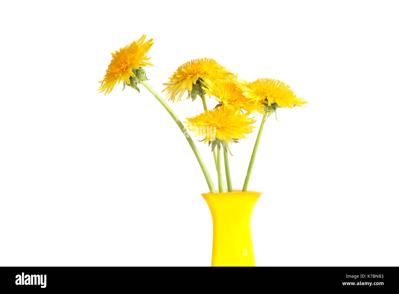 Nice yellow vase with few dandelions on white background Stock Photo ...