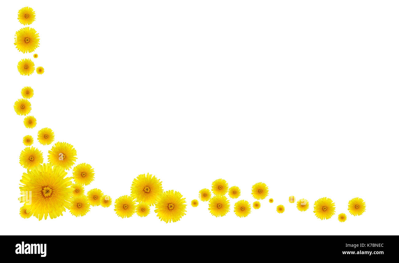 Border made bouquet flowers hi-res stock photography and images - Alamy