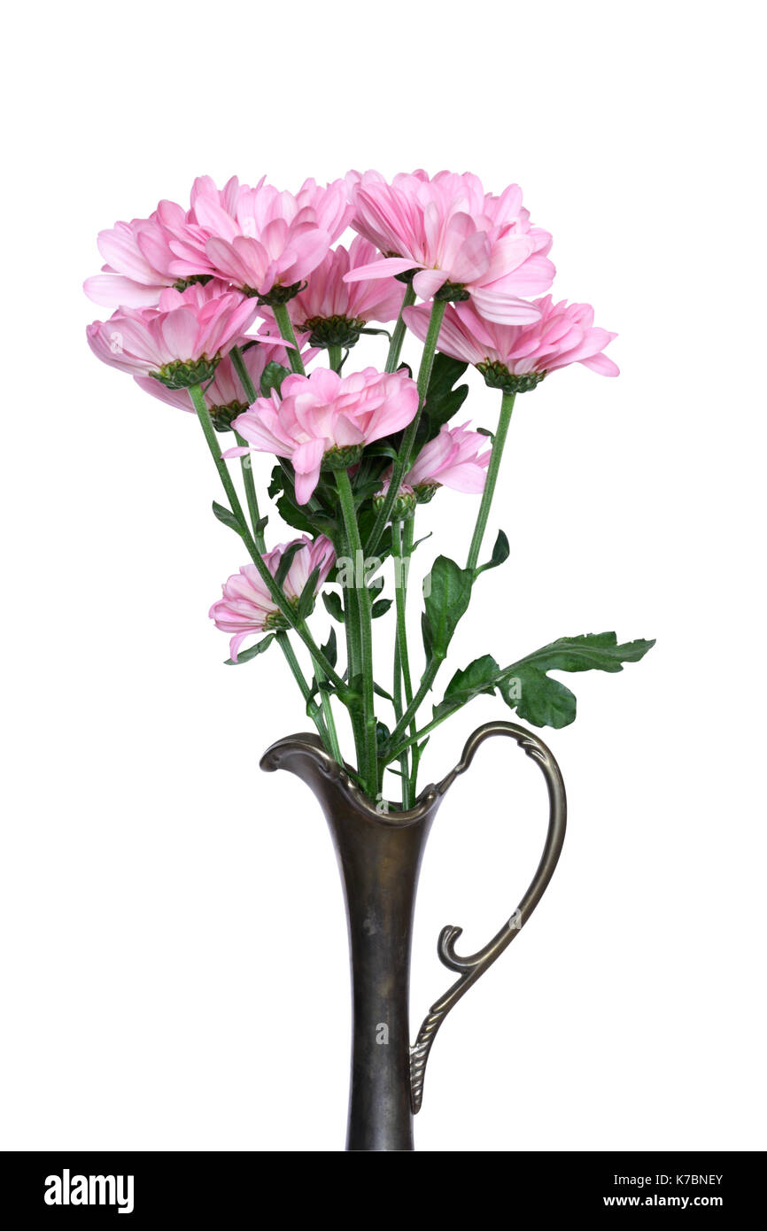 Bunch of pink flowers inside ancient metal vase. Isolated on white with ...