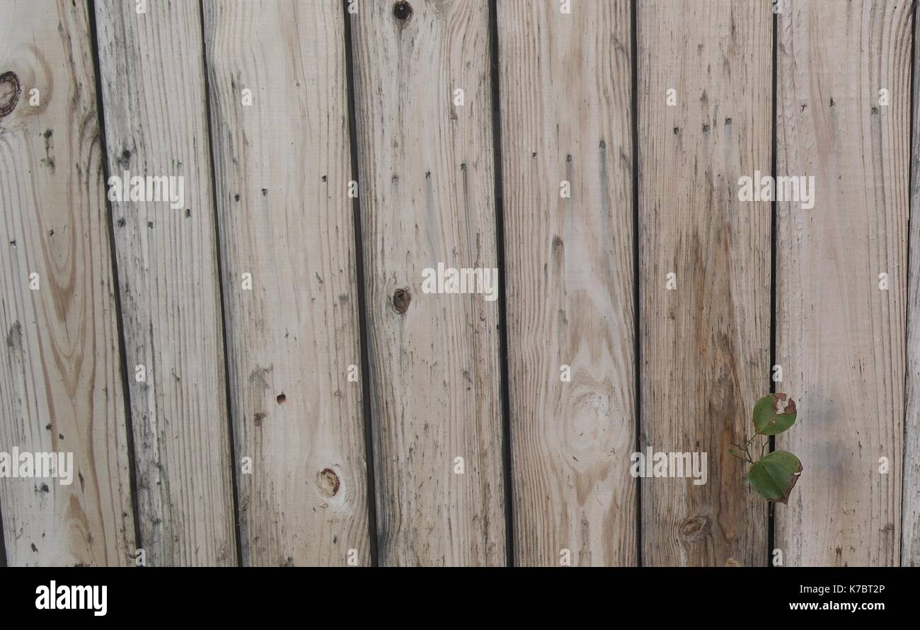 Rough protruding hi-res stock photography and images - Alamy