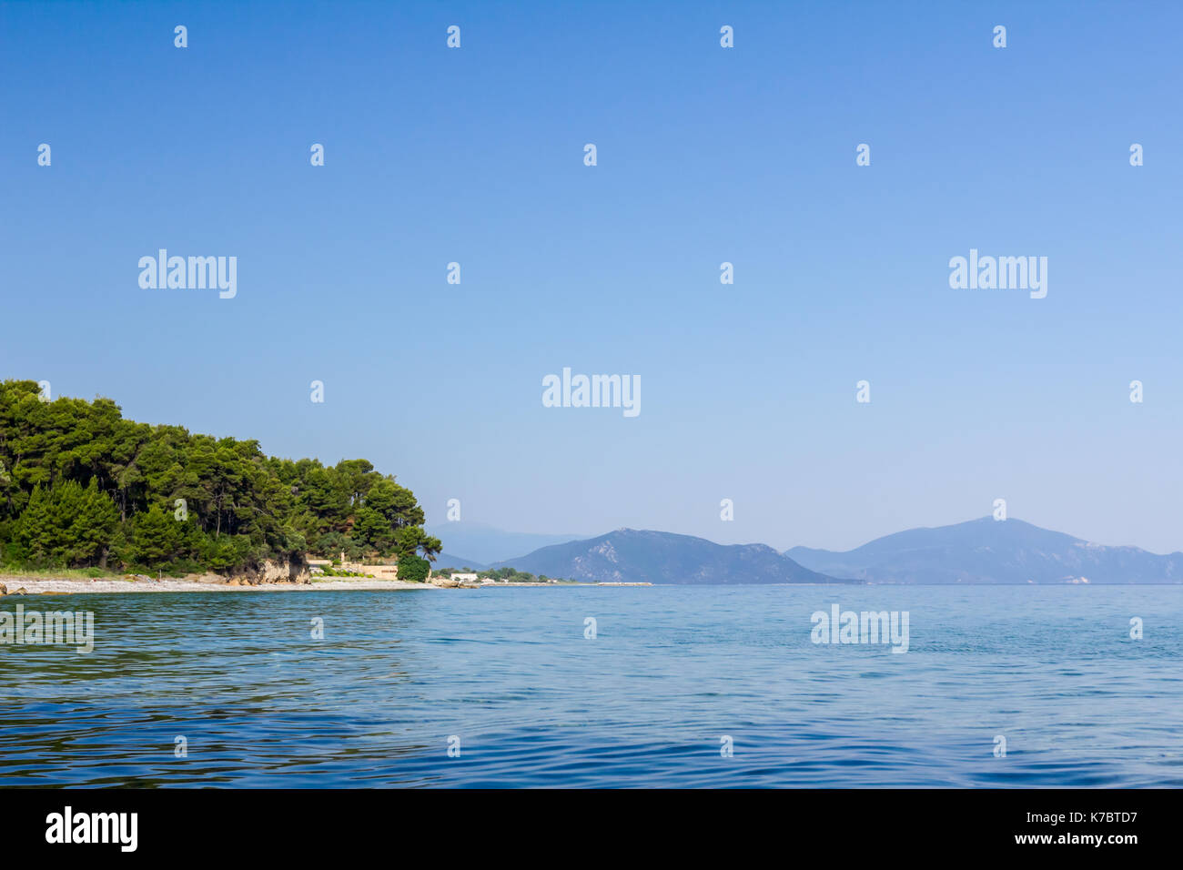 Landscape of a dense and various vegetation on island with pine trees ...